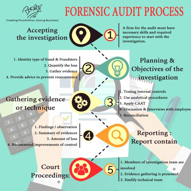 Forensic Audit – Pikvan