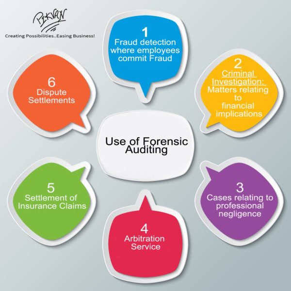 Forensic Audit – Pikvan