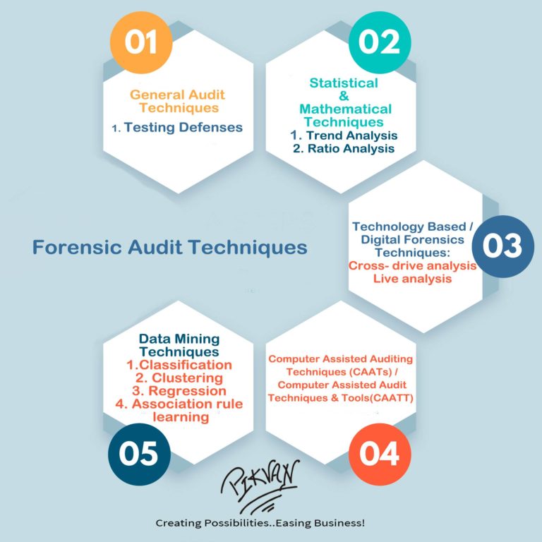 Forensic Audit – Pikvan