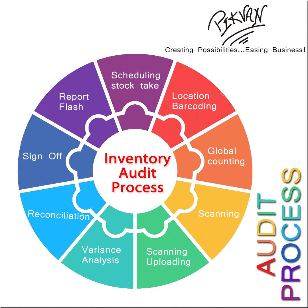 Audit Process – Pikvan