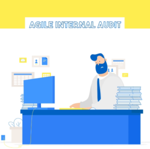 Agile Internal Audit – Pikvan