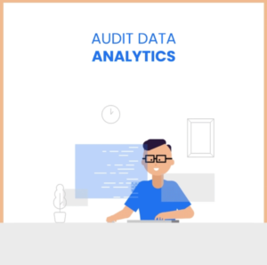 Audit Data Analytics – Pikvan